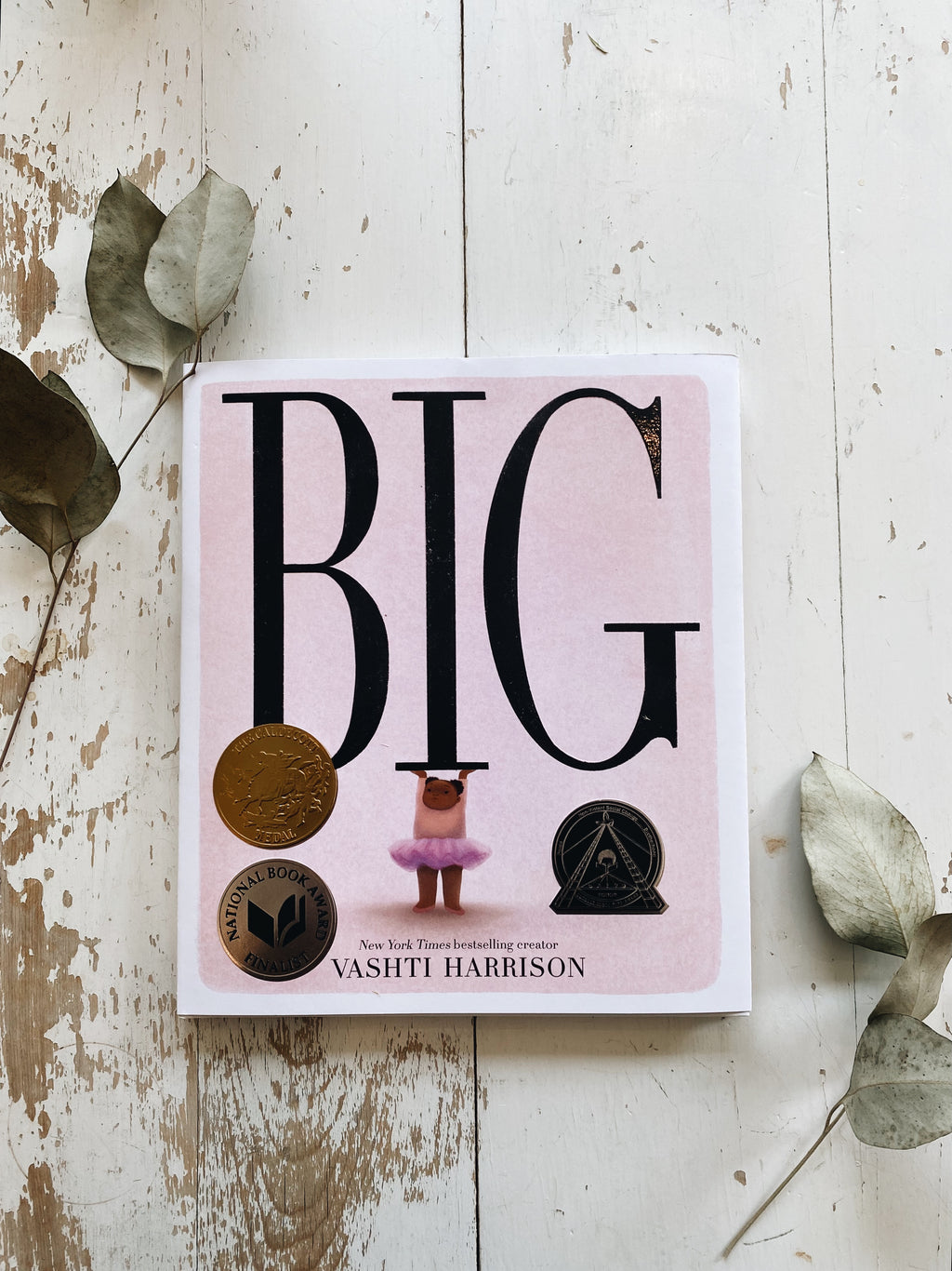 Big by Vashti Harrison – Farmer's Daughter Homestead