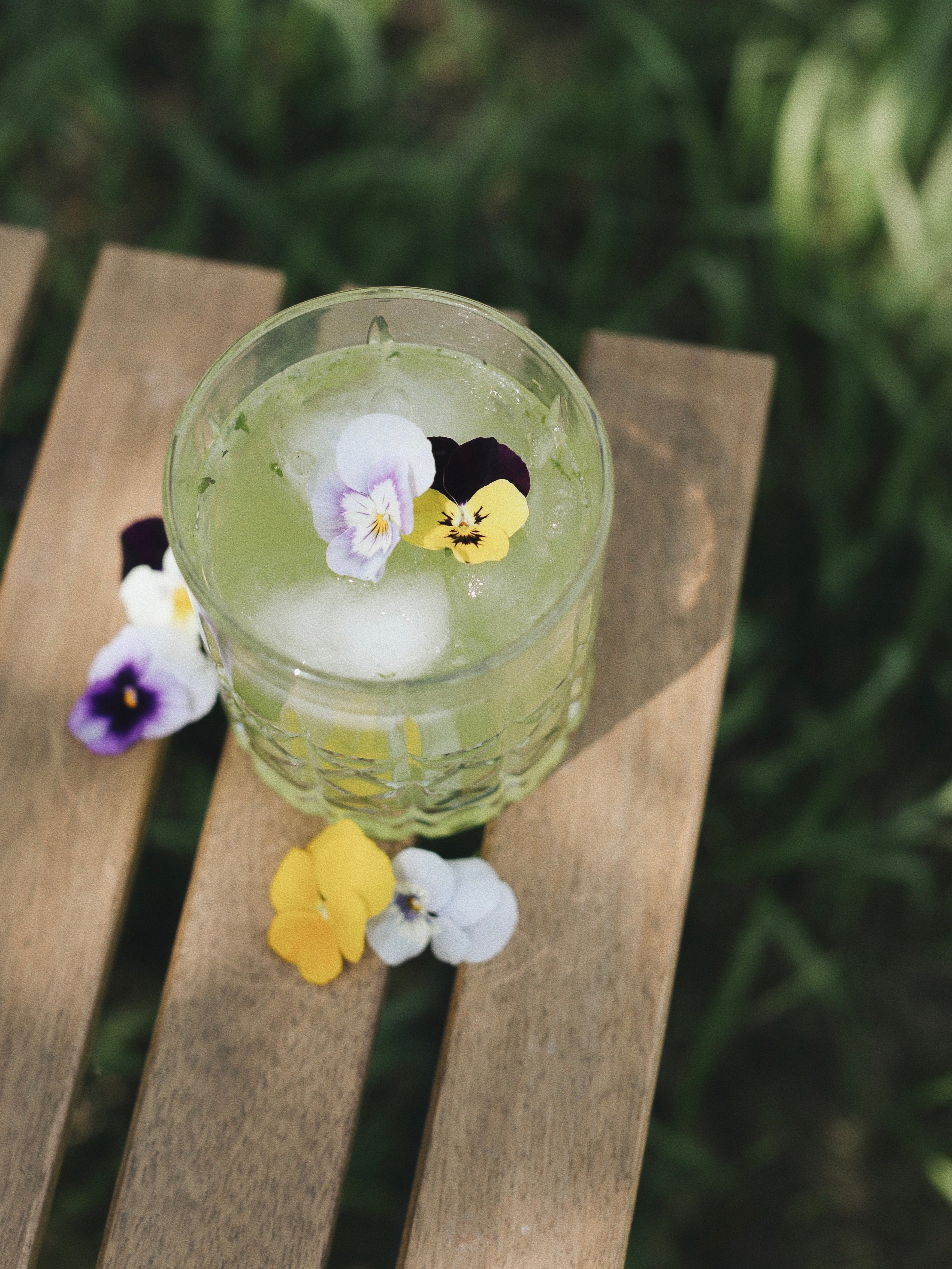 FEATURED RECIPE: Lemon Basil Spritz by Boxhorn Farm – Farmer's Daughter ...